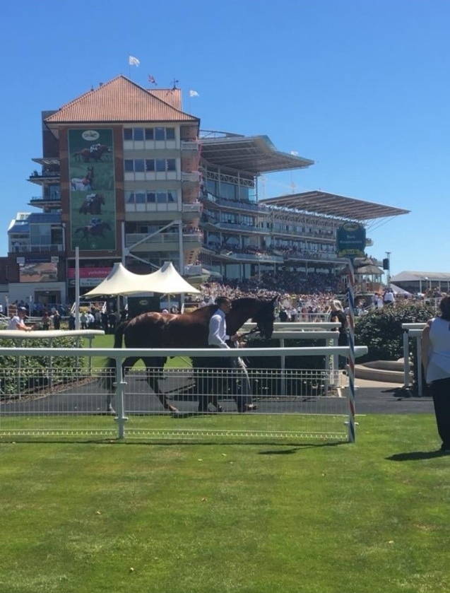 Triple success and stand out performances | Ben Haslam Racing ...