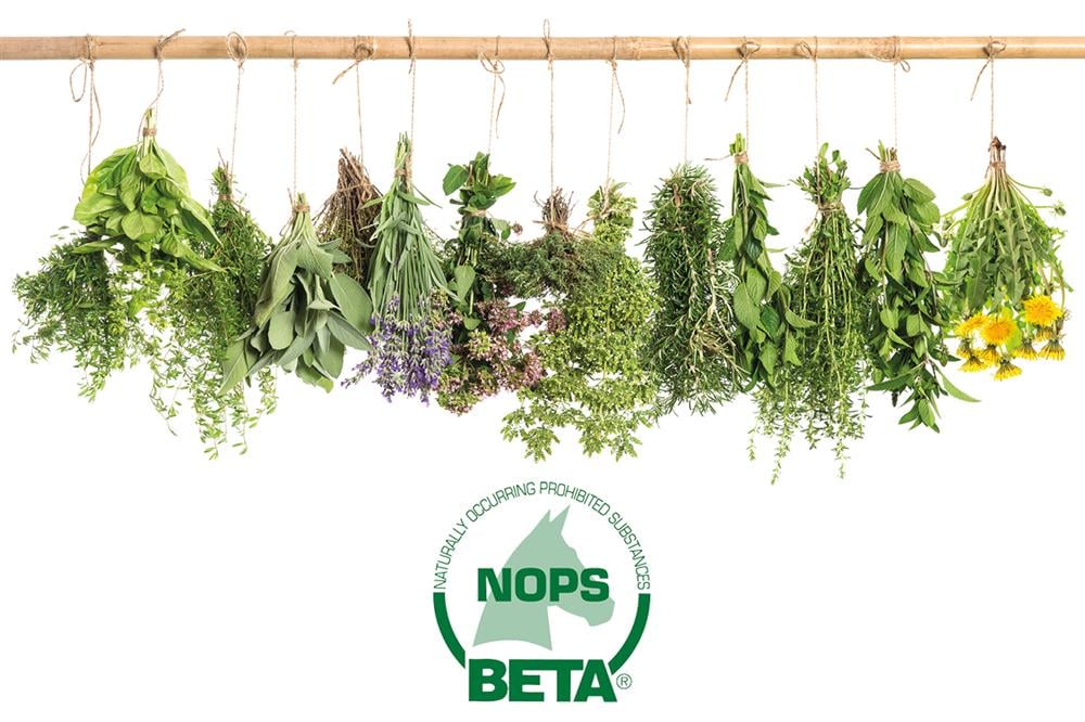 NOPS – What are they and why must they be controlled?