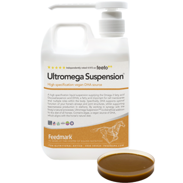Horse Supplements | Feedmark