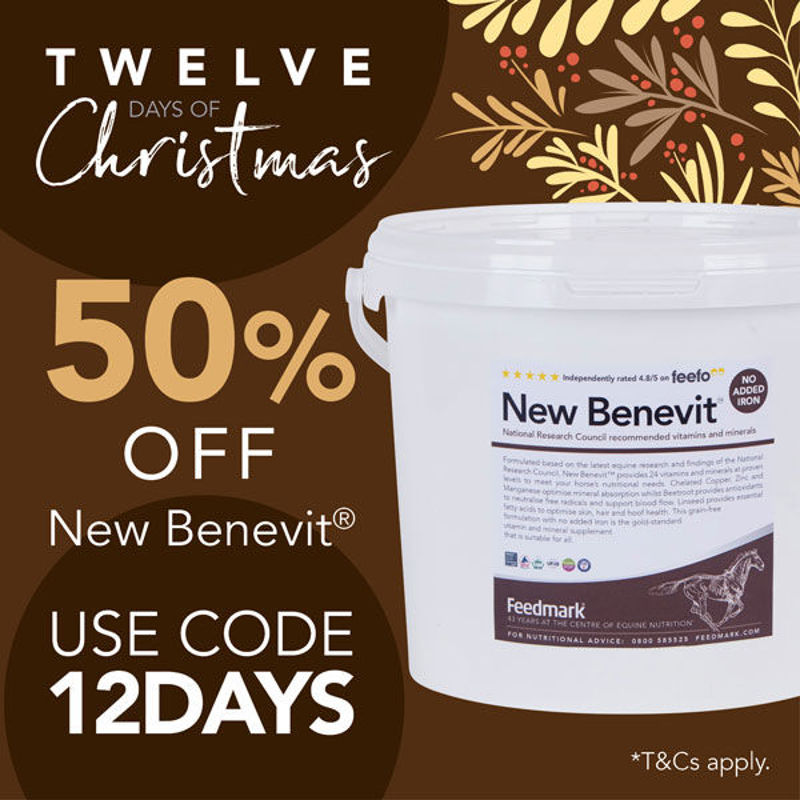 Horse Supplements | Feedmark