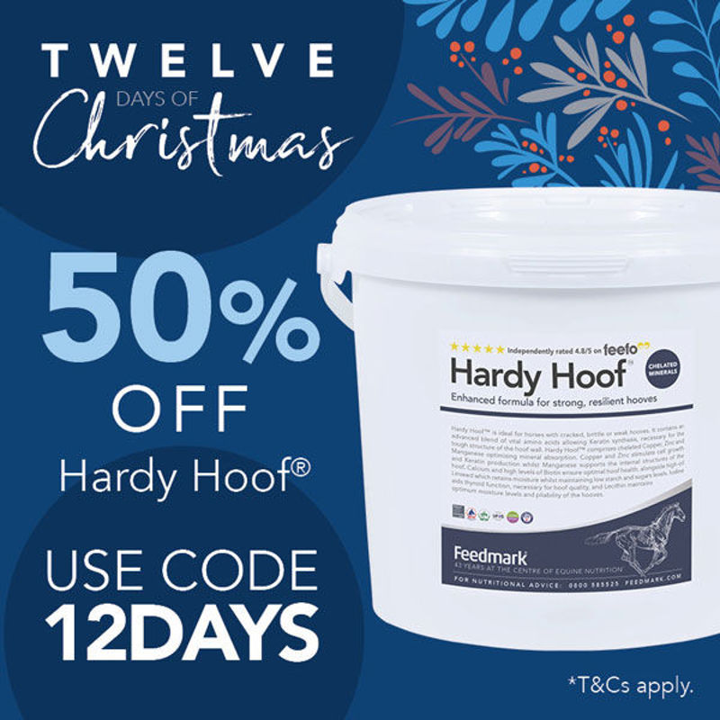 Login - Bespoke Horse | Feedmark