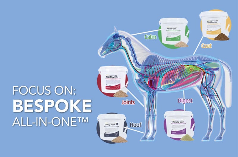 Feedmark Bespoke All-In-One Supplement | Feedmark