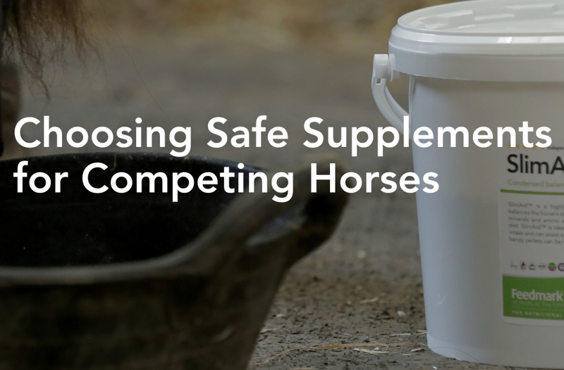 Understand how to choose safe supplements for competing horses | Feedmark