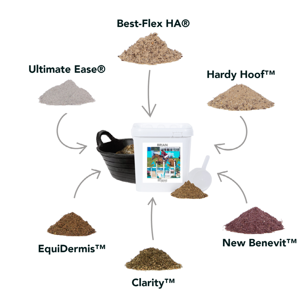 Bespoke All-In-One™ | All-In-One Horse Supplement
