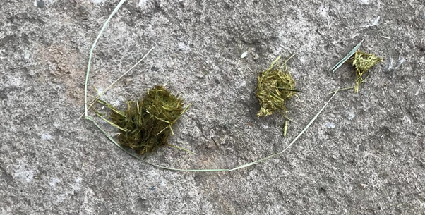 The importance of regular dental care | Feedmark