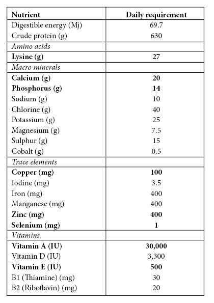 Nutrition for Healthy Hooves: Essential Tips for Strong Hoof Care ...
