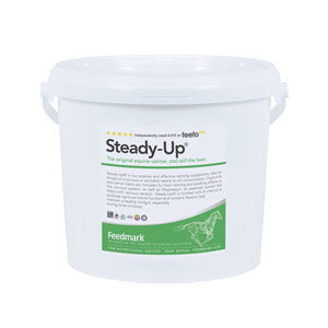 Feedmark | Managing Issues In Spring