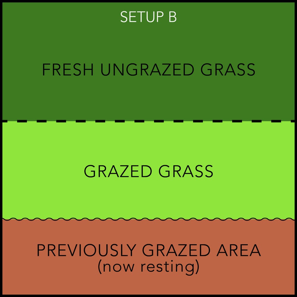 Managing Your Horse's Grass Intake | Feedmark