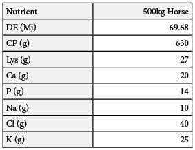 What is the Real Nutrient Content of Grass for Horses? | Feedmark Horse ...